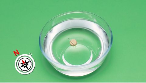 How to make a magnetic compass guide for KS3 physics students - BBC ...