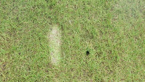 How to show the difference between force and pressure guide for KS3 ...