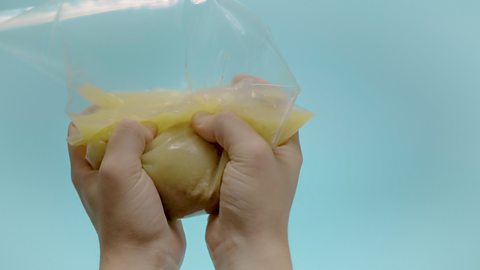 How to model digestion using tights - Nutrition, digestion and ...