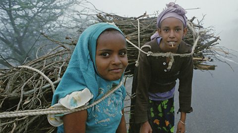Child labour - BBC News