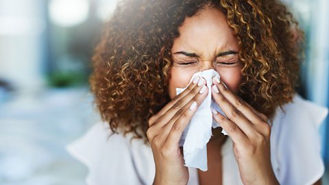 BBC Radio 5 Live - Live Wires - Six questions about cold and flu