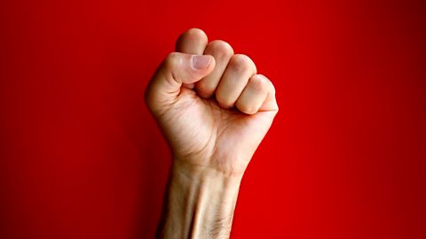 MPs' expenses scandal - BBC News