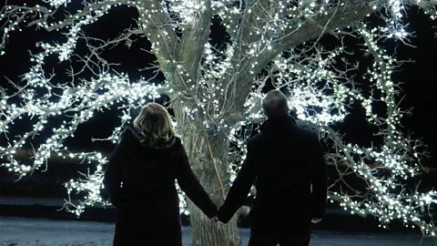 Man's Christmas tree with 21,000 lights inspires US visit - BBC News