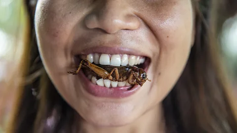 The business of eating bugs