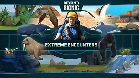 BBC Games - All Action Games - Play cool online games for free with the ...