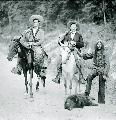 BBC Arts - Hay Festival, 2019 - Eager beavers: How nature’s engineers ...
