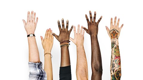 BBC Radio 4 - Radio 4 in Four - 10 sensational facts about our skin