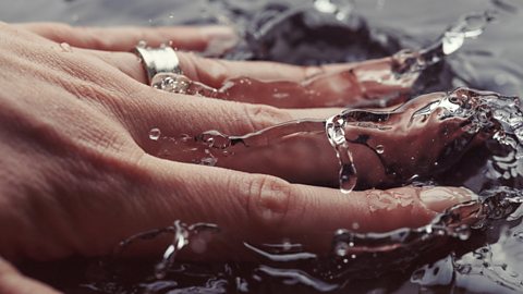 BBC Radio 4 - Radio 4 in Four - 10 sensational facts about our skin