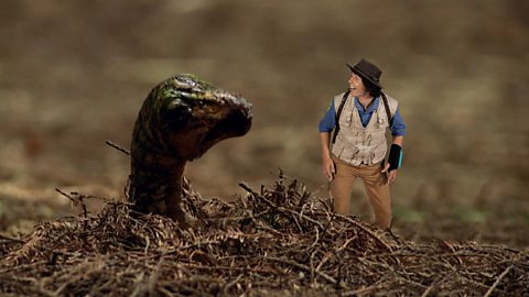 Andy's Dinosaur Adventures - CBeebies - BBC