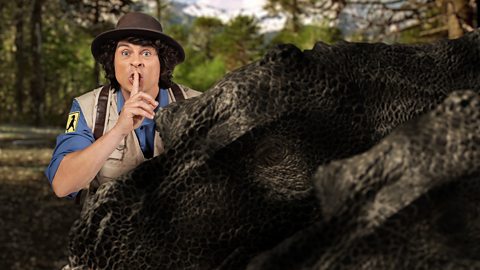 Dinosaurs - CBeebies - BBC