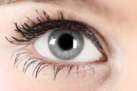 Speaking - describing your eyes - Myself and my family - GCSE Irish ...
