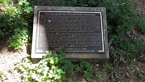 A bizarre journey beyond Earth’s borders