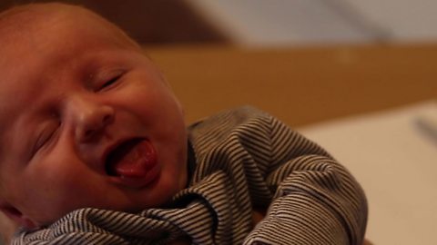 Copying actions - BBC Tiny Happy People