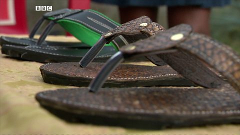 Coelacanthe : le poisson qui est considéré comme un "fossile vivant" et ...