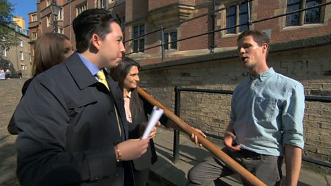 BBC One - The Apprentice, Series 15 - The Apprentice Series 15: Weekly Quiz