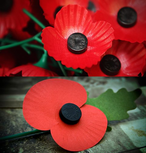 BBC Radio 4 - Natural Histories - Eight surprising facts about the poppy