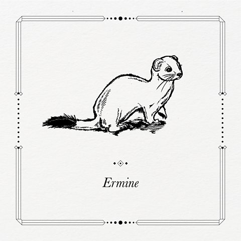 BBC One - His Dark Materials - Ermine