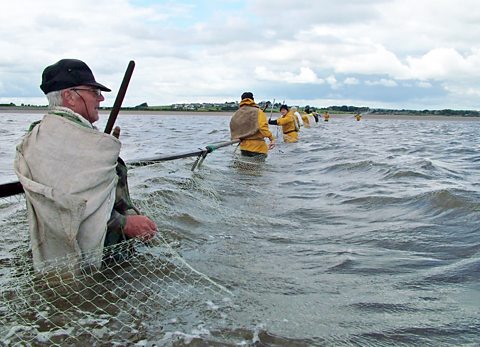 The Solway Firth haaf netters fighting to save a fishing tradition ...
