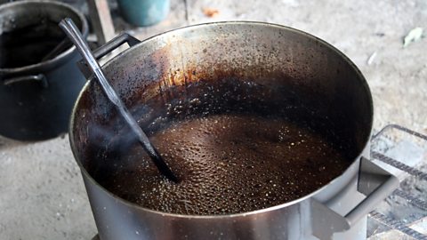 BBC Radio 4 - Radio 4 in Four - Ayahuasca: the mysterious plant behind ...