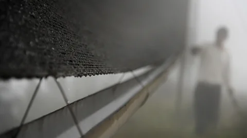 The ethereal art of fog-catching