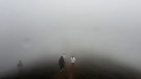 The ethereal art of fog-catching
