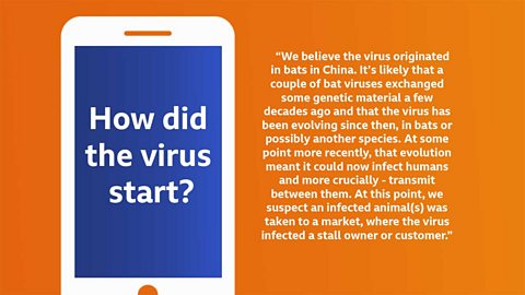 Coronavirus: Your questions answered - BBC Bitesize