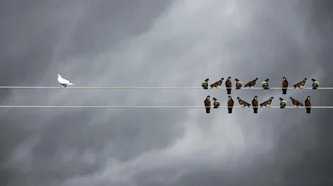 Why overcoming racism is essential for humanity’s survival