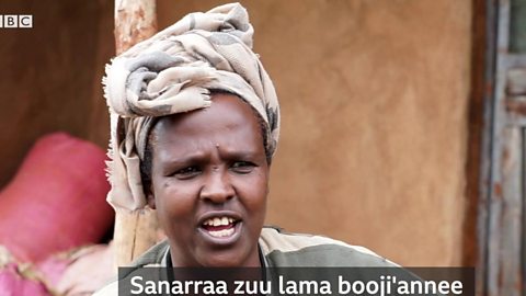 Guyyaa Gootota Oromoo: Zayituunaa - Jaal Murattuun eenyu turte? - BBC ...