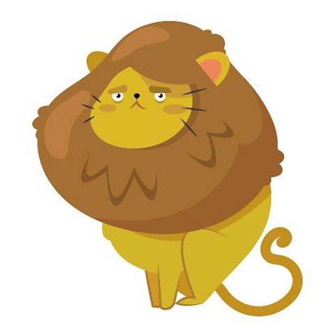 How to use parenthesis: dashes, brakcets and commas - BBC Bitesize