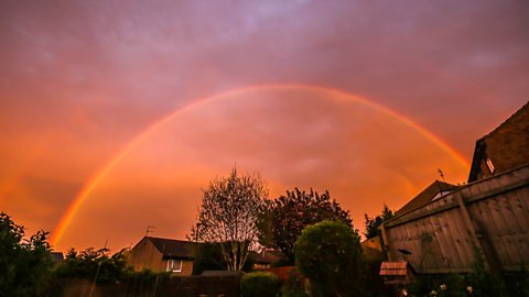 BBC - Pic of the Season - Spring 2020