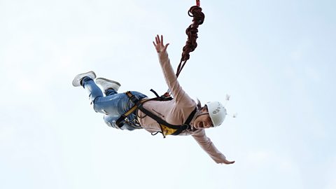 BBC Radio 4 - Why Do We Do That? - Why do we take risks?