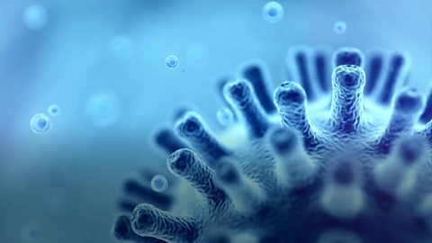 Ìtàn Mánigbàgbé: Adebisi Idikan ni olówó tó kọ́kọ́ ra ọkọ̀ nílẹ̀ Ibadan ...