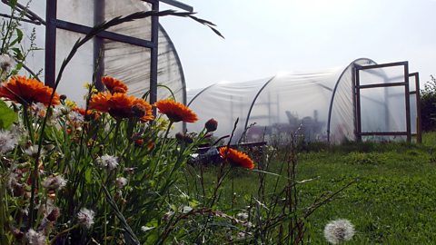 BBC Radio 4 - The Archers - The Archers Cast Singalong - Barwick Green ...