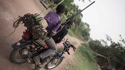 The wild animals at risk in lockdown