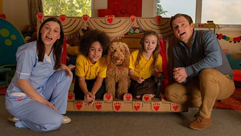 CBeebies Animals - CBeebies - BBC