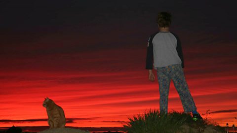 BBC Scotland - BBC Scotland - What causes spectacular red and orange ...