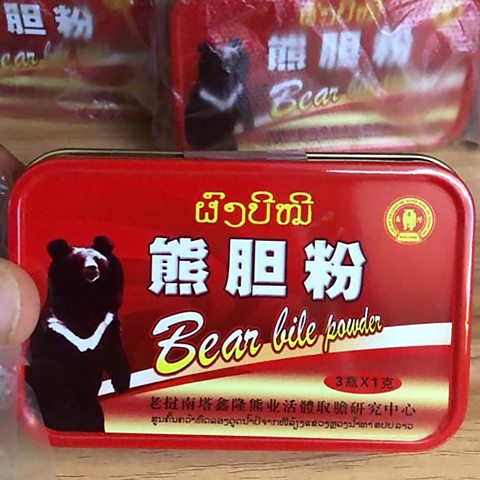 BBC Two - Bears About the House - The Wildlife Trade: A personal view