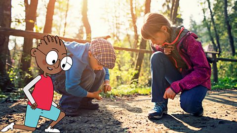 What is fieldwork? - BBC Bitesize