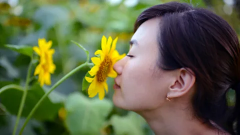 Why some people become super smellers