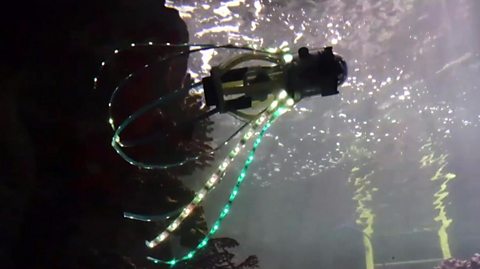 Meet the squidbot hoping to explore the deep sea - CBBC Newsround