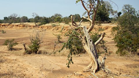 Desertification - BBC News