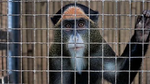 How to restore your sense of control when you feel powerless