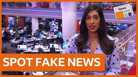 Fake news glossary: Top 10 words to know - BBC Bitesize