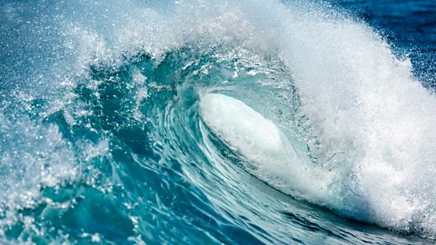 BBC One - A Perfect Planet - A Perfect Planet - Gallery