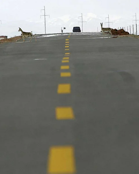 The fragile future of roads and buildings built on permafrost