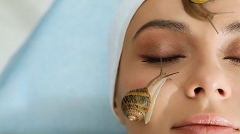 Cosmetics - BBC News