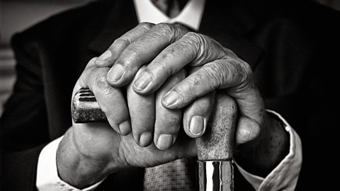 Human evolution - BBC News