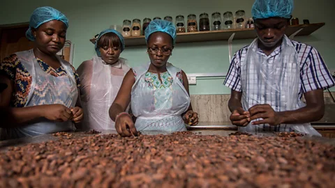 The powerful new use for cocoa