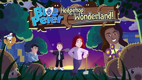 Fun and easy free online Blue Peter hedgehog game for kids - CBBC