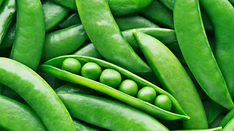 How freezing changed the green pea